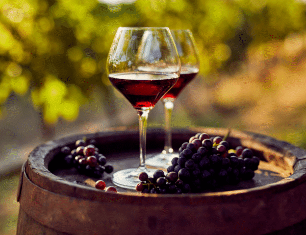 Our Story | Mitchell Katz Winery