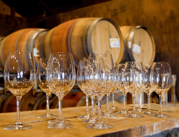 Weddings | Mitchell Katz Winery