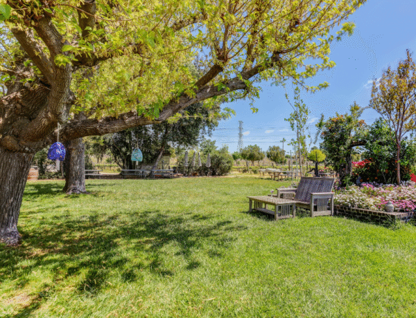 Private Events | Mitchell Katz Winery